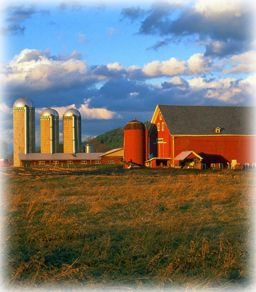 Policy Management System